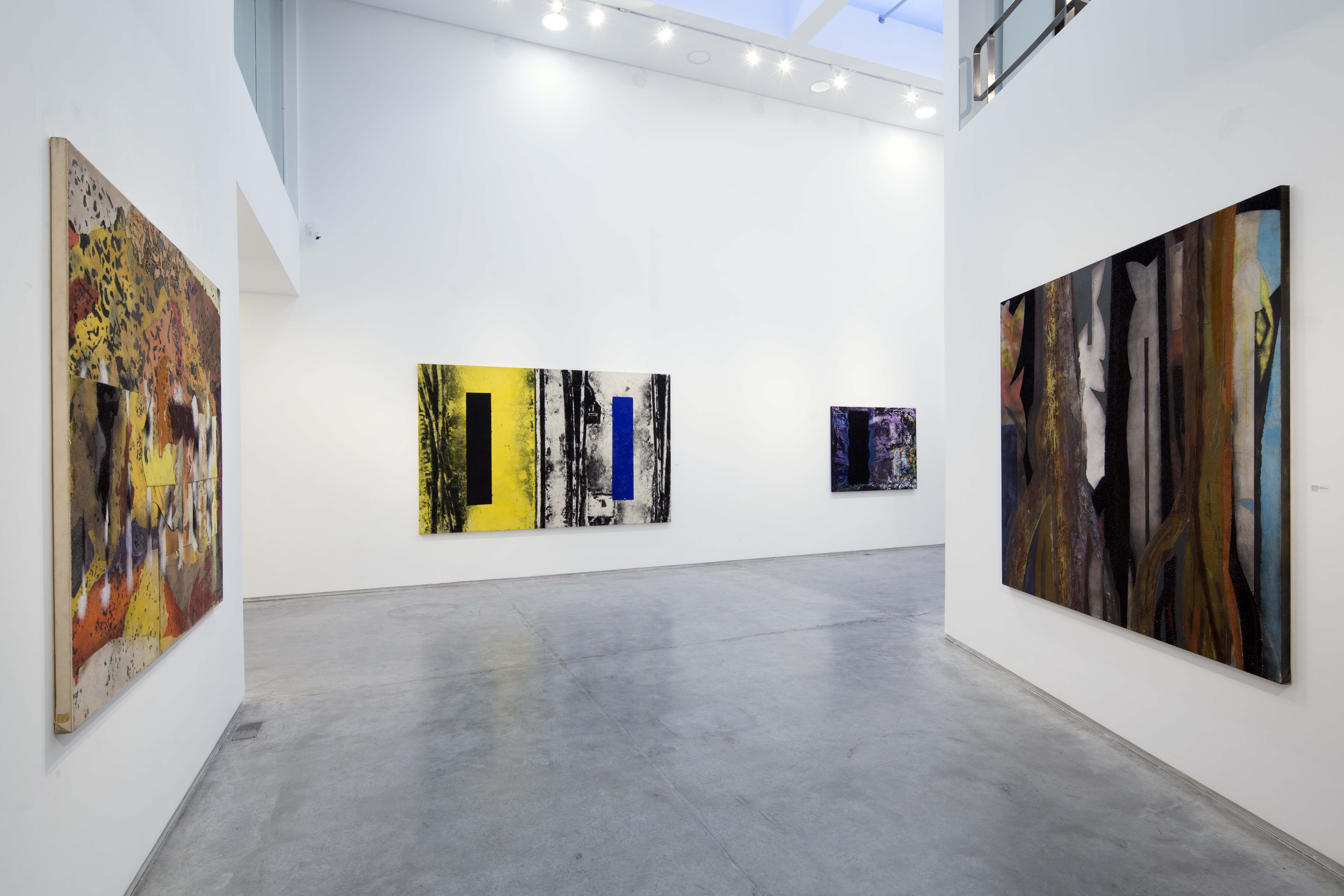 Carlos Vergara | Paulo Darzé Gallery