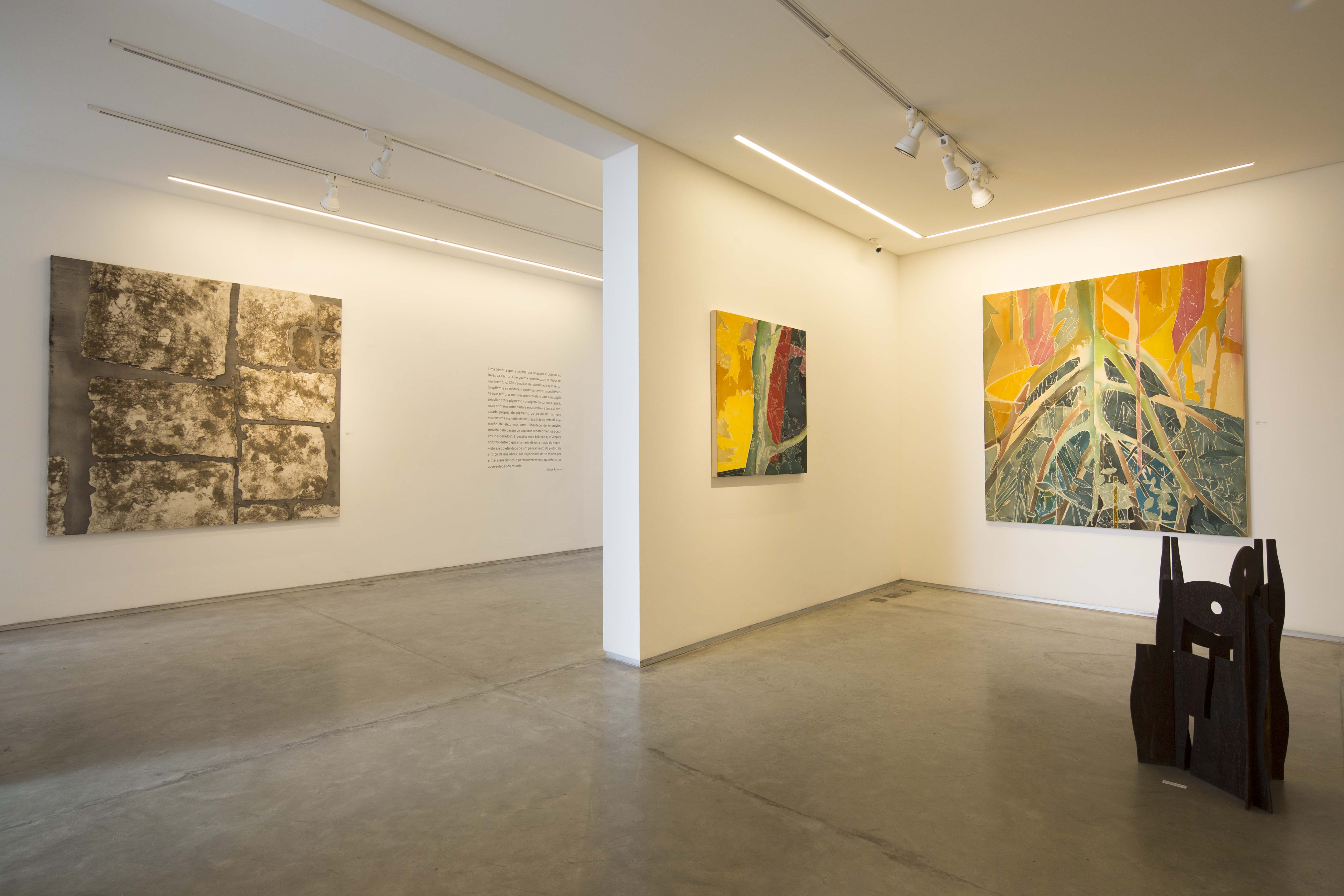 Carlos Vergara | Paulo Darzé Galeria
